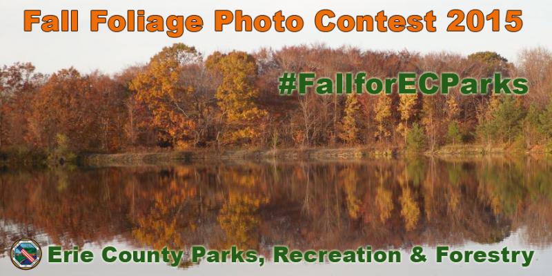 10/1/15: Fall Foliage Photo Contest Opens at Erie County Parks | Erie ...