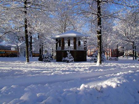 Photo Gallery | Village of Alden, NY